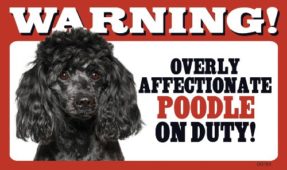 Prismatix Decal Poodle (Black) Funny Signs: Warning Overly Affectionate ...